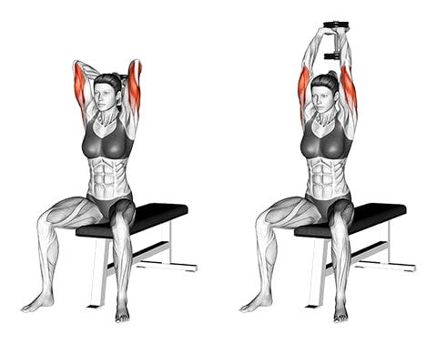 Méthode 5-10-20 : Supersets pour un Entraînement Efficace - PURSHAPE