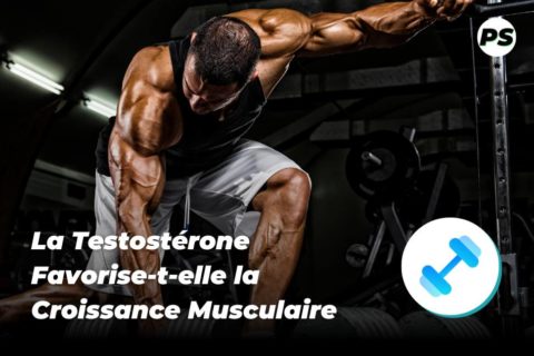 La Testostérone Favorise-t-elle la Croissance Musculaire - PURSHAPE