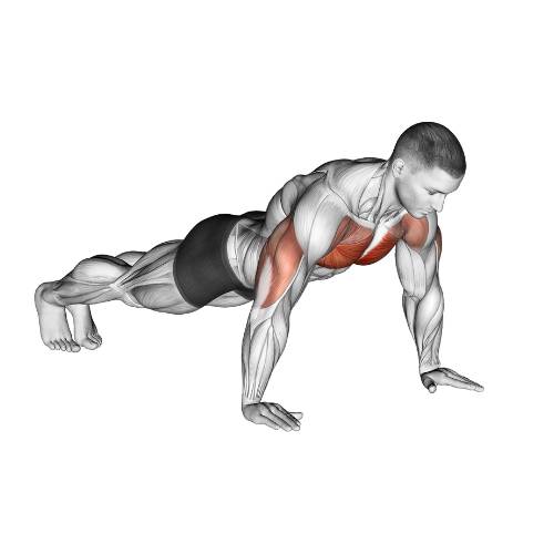 Pompes : Guide complet - PURSHAPE